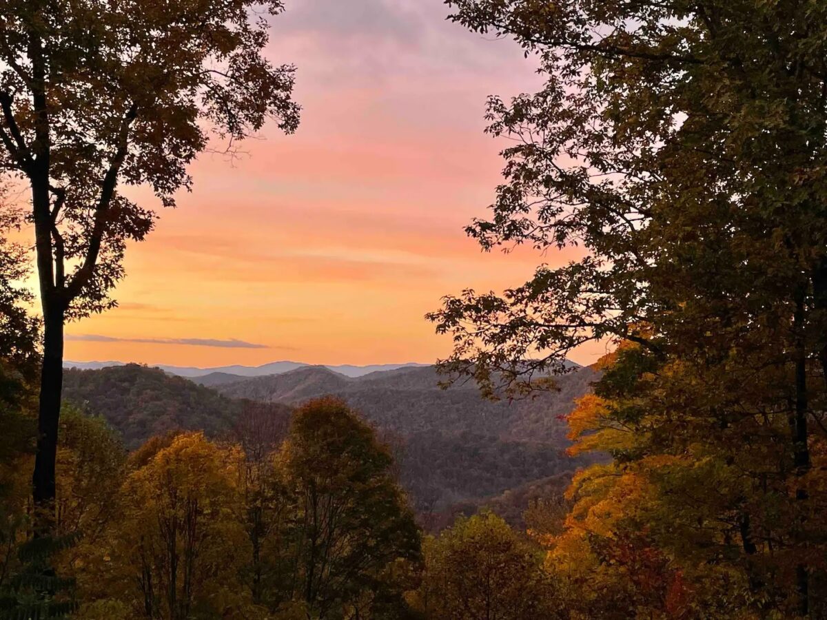 Escape To A Hidden Cabin Where The World’s Chaos Simply Vanishes