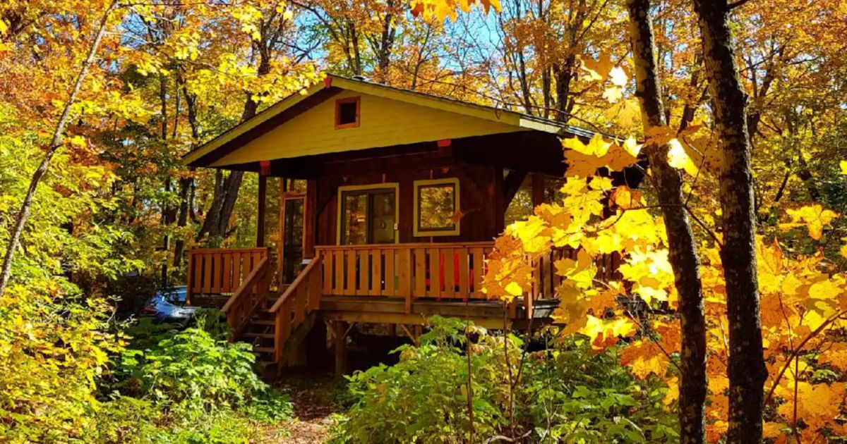 The Internet Can’t Get Enough Of This Adorable Cabin And Its Amazing ...