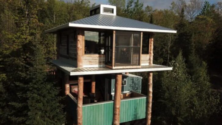 Man Builds Tiny Tree House From Reclaimed Materials And It’s The ...