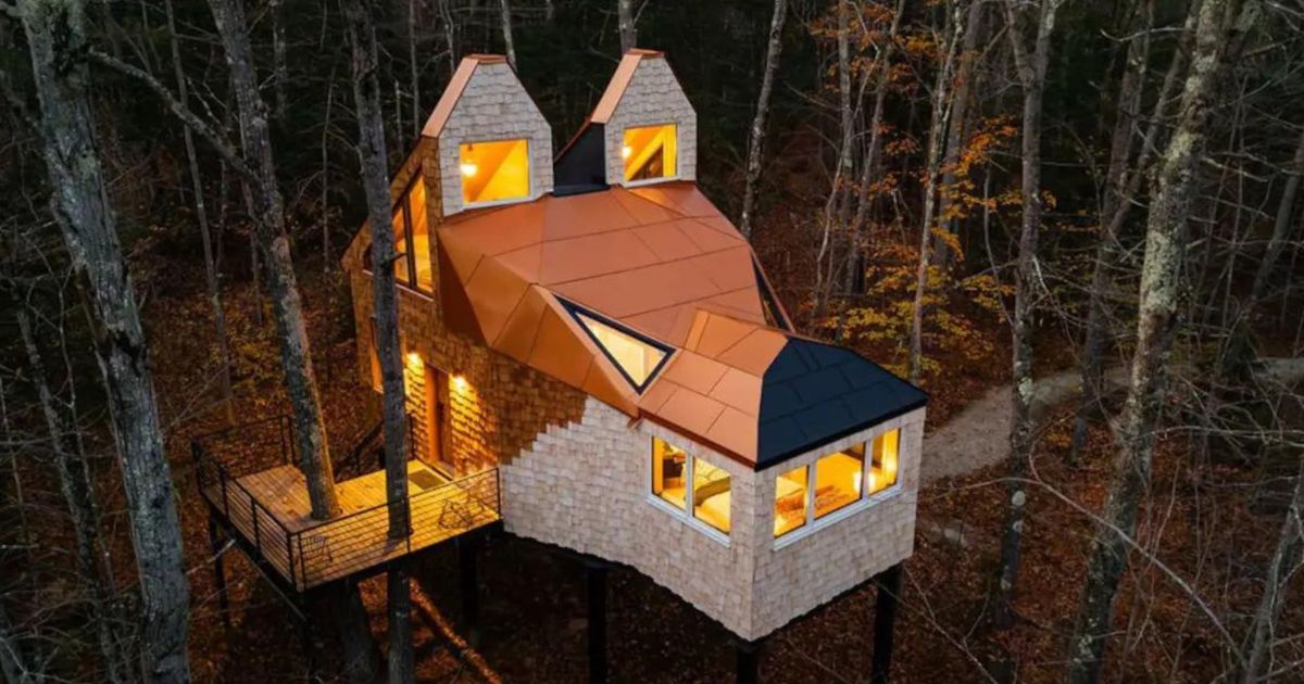 The Most Unusual Treehouse Ever Offers A Foxy Experience You'll Never ...