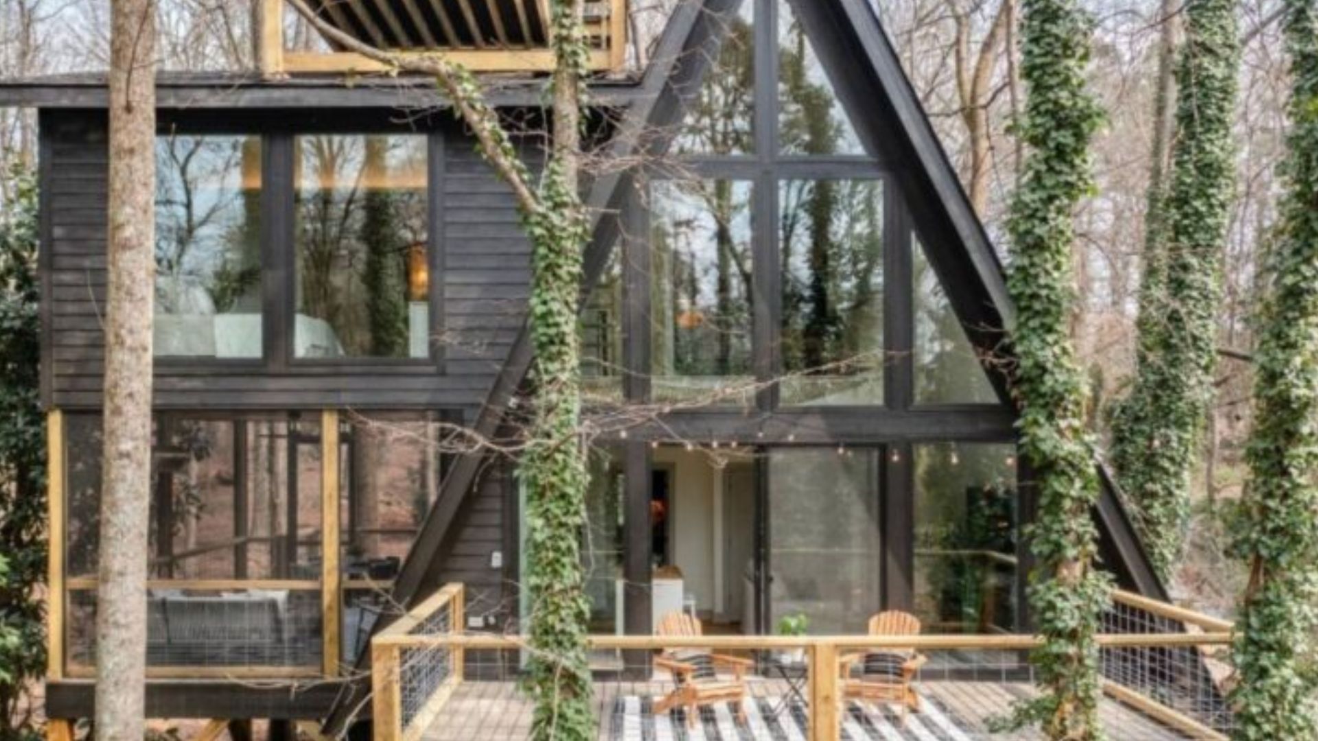 Come See A Stunning Treehouse That Brought Its Natural Surroundings ...