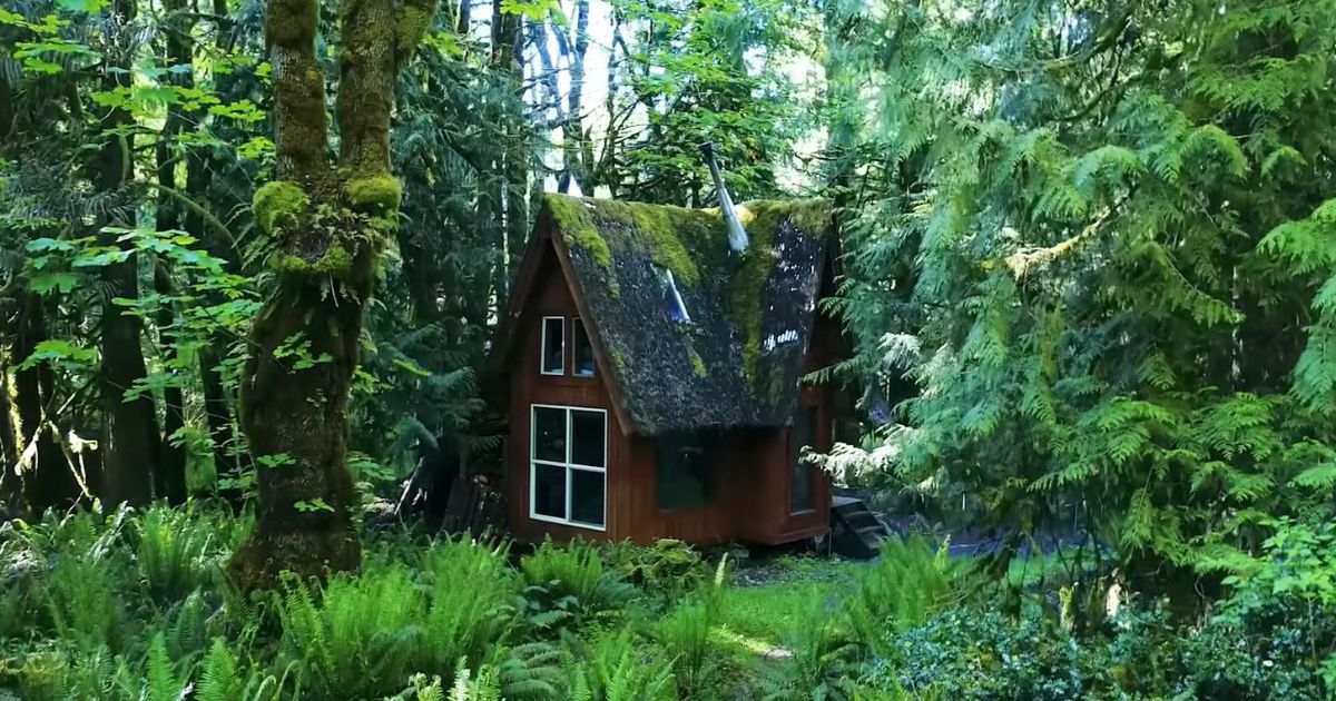 Building A Small, Charming Forest Cabin Like This Takes Remarkable ...