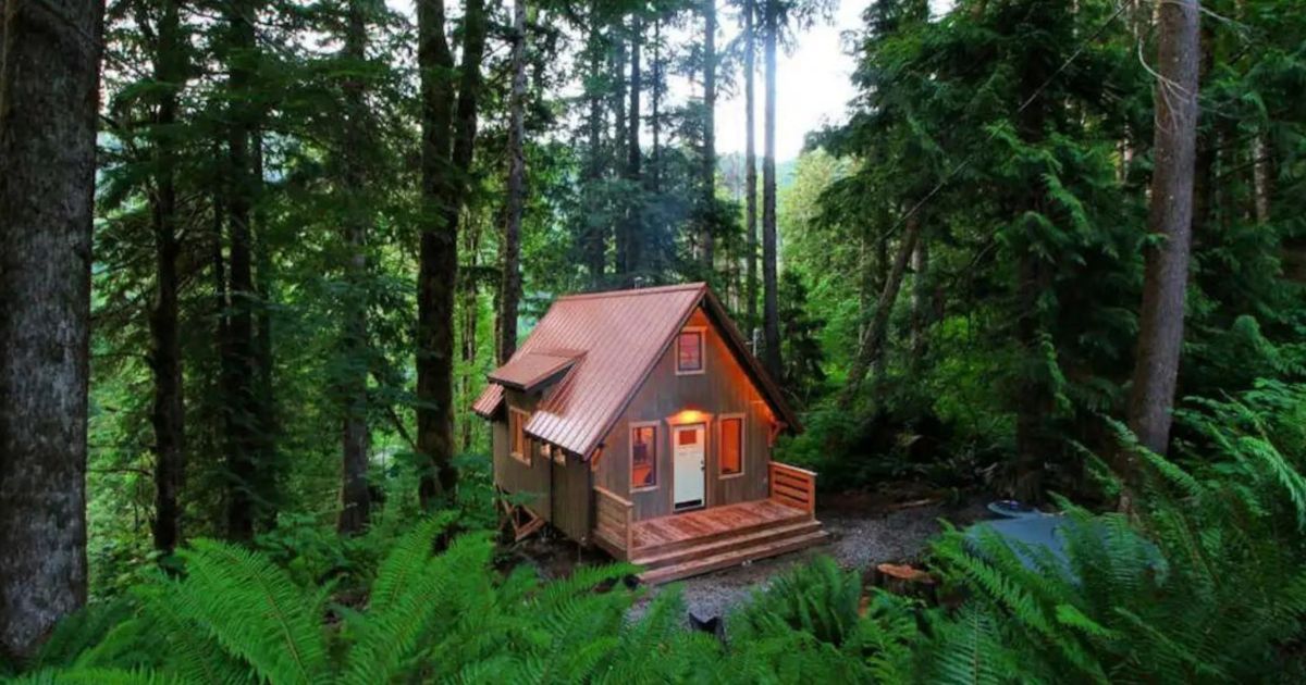 Wake Up, Adventurists, It’s Time For A New Cabin Adventure