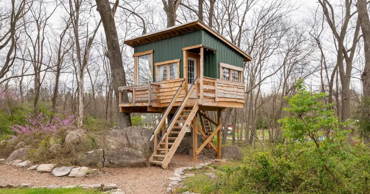 When You See What Fits Inside This Tiny Tree House, You'll Be Begging ...