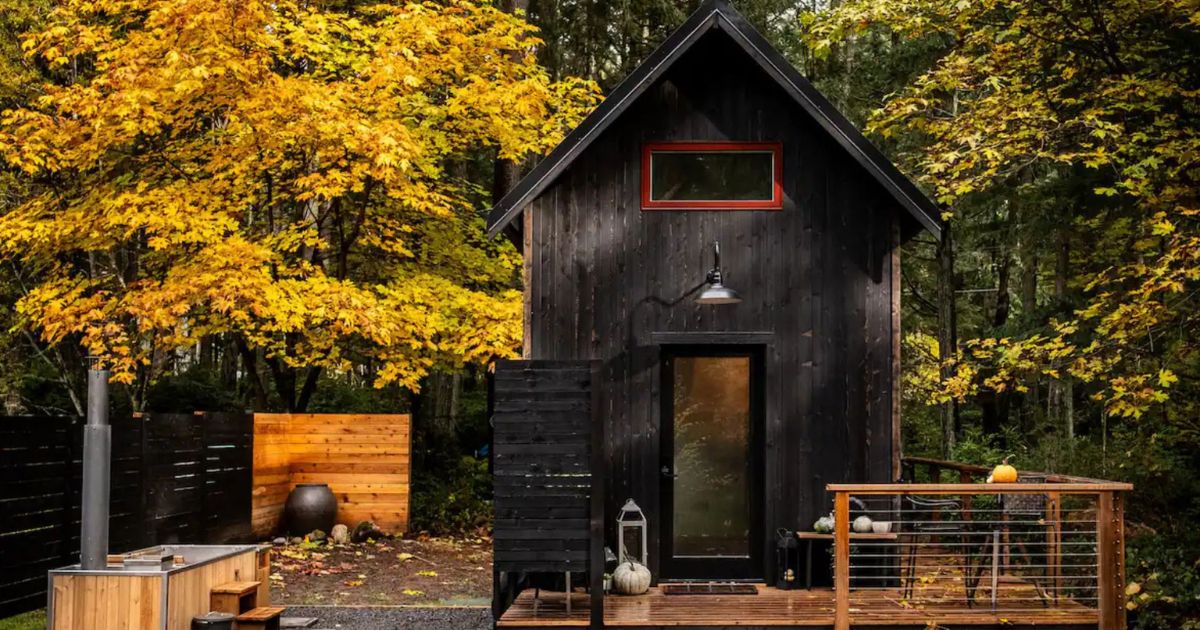 Don't Be Scared Of This Gloomy Cabin, Because It Hides A Really ...