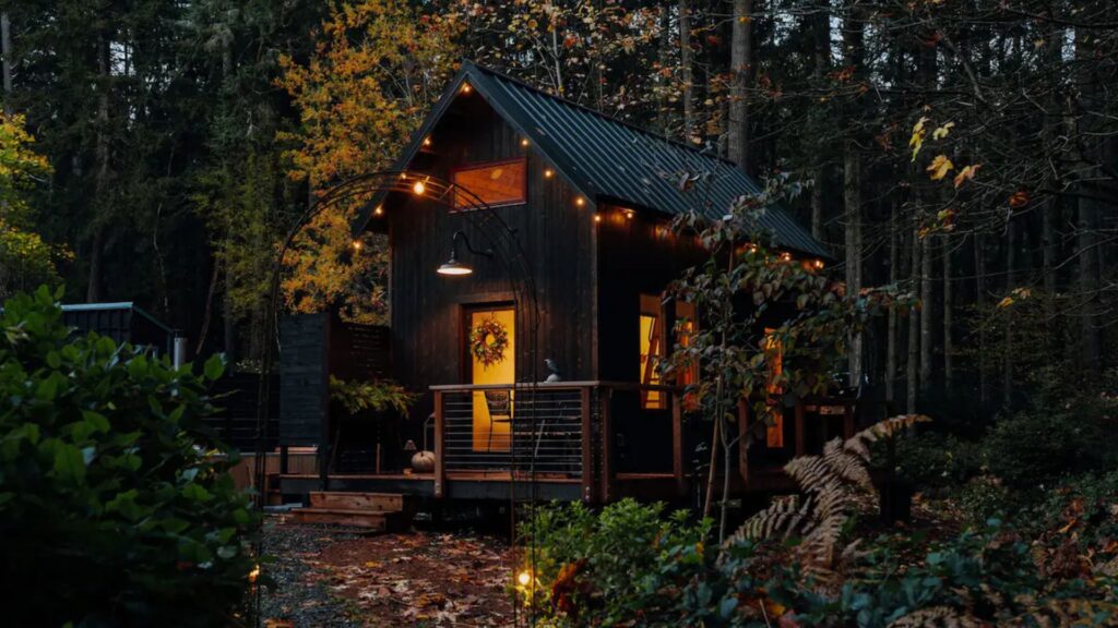 Don't Be Scared Of This Gloomy Cabin, Because It Hides A Really ...