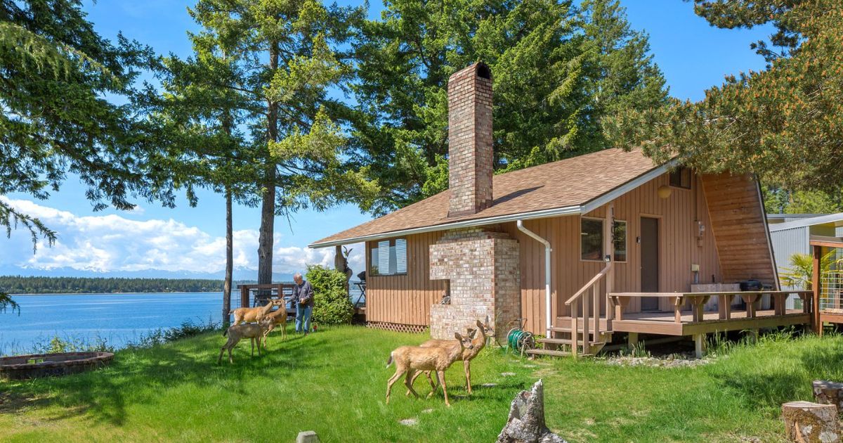 Discover This Beach Cabin with Views So Epic, They Feel Out of This World