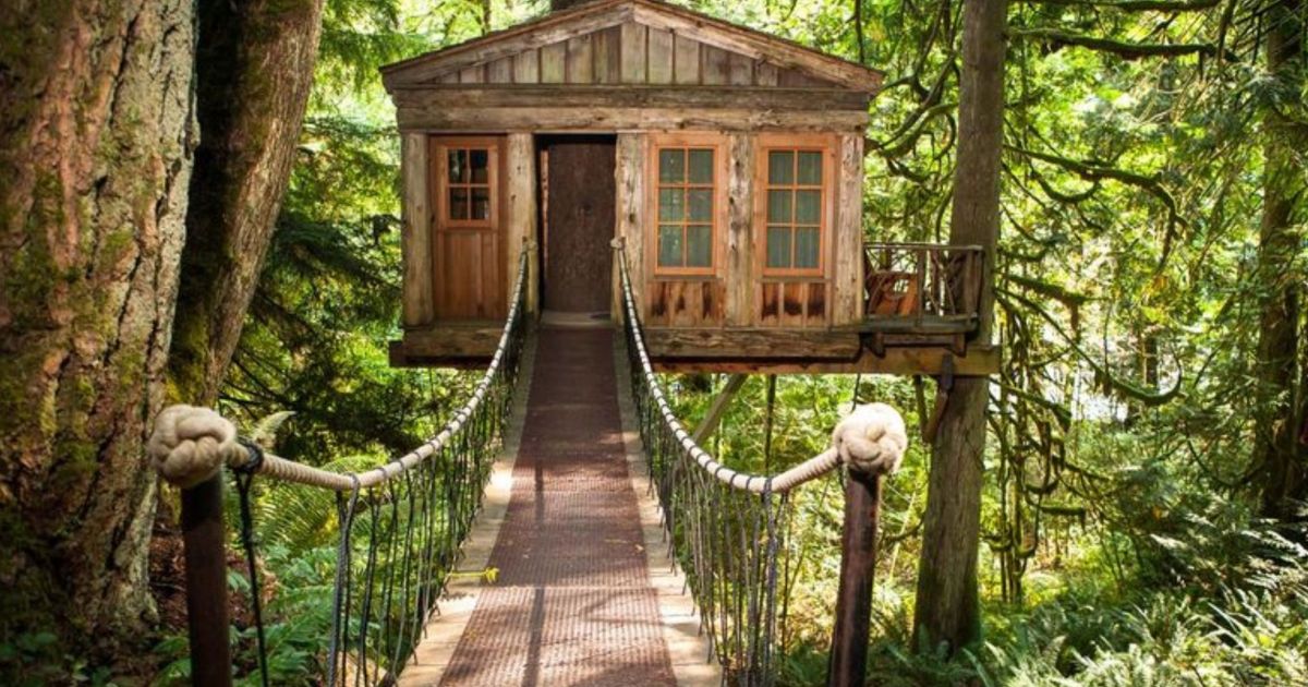 7 Treetop Homes In America That Will Wake Up The Kid Inside You