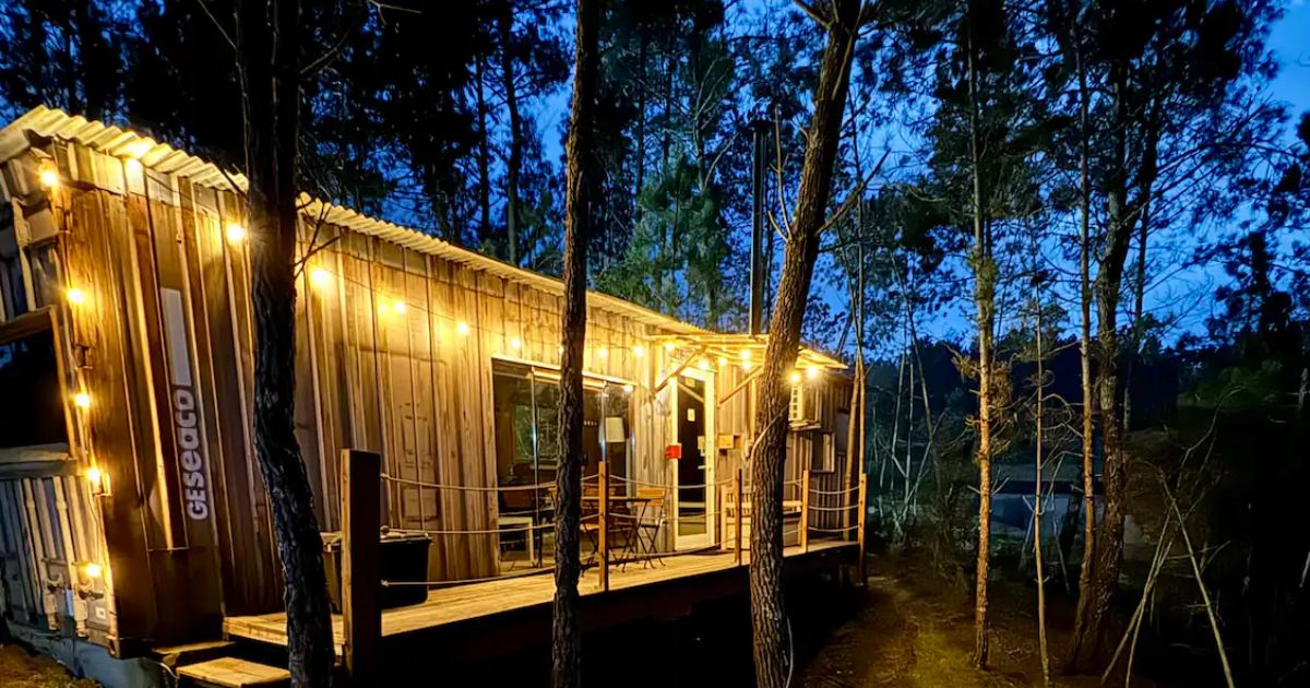 Presenting You A Magical Container In The Woods That Will Make You ...