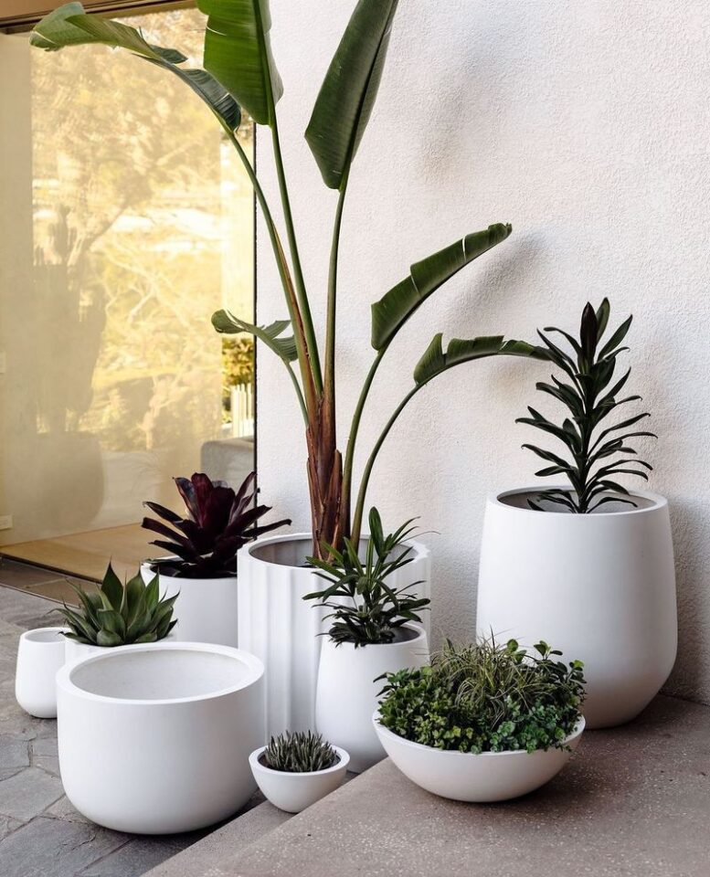 25 Chic Ways To Arrange Houseplants For A Modern Aesthetic