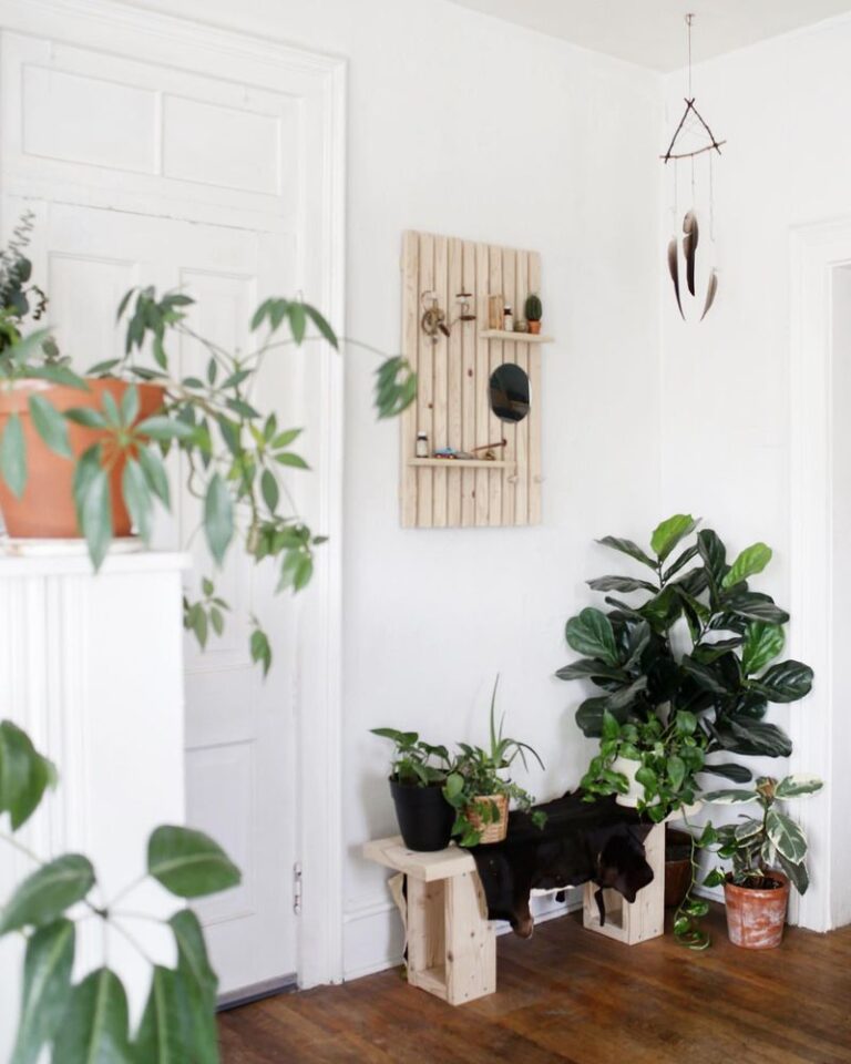 25 Chic Ways To Arrange Houseplants For A Modern Aesthetic