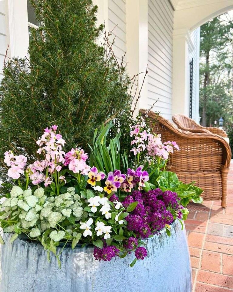 25 Chic Ways To Arrange Houseplants For A Modern Aesthetic