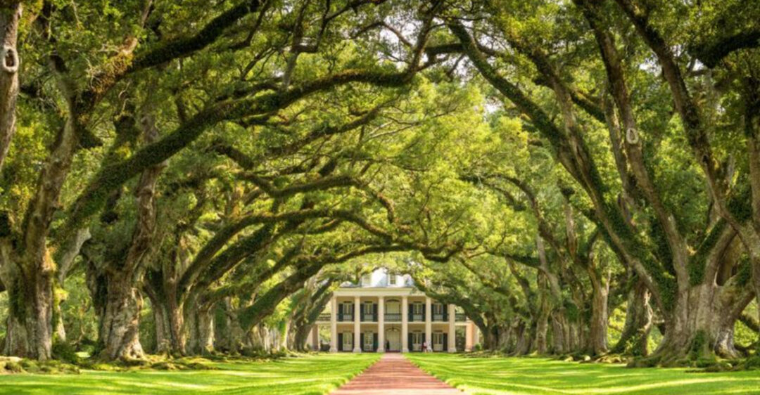 15 Antebellum Homes In The South You Shouldn't Miss